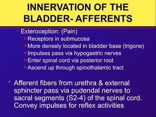 bladder anatomy and physiology and related disorders | PPTX