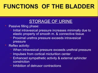 bladder anatomy and physiology and related disorders | PPTX