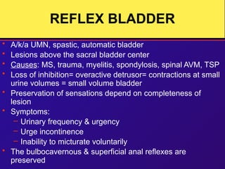bladder anatomy and physiology and related disorders | PPTX
