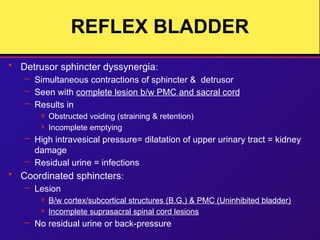 bladder anatomy and physiology and related disorders | PPTX