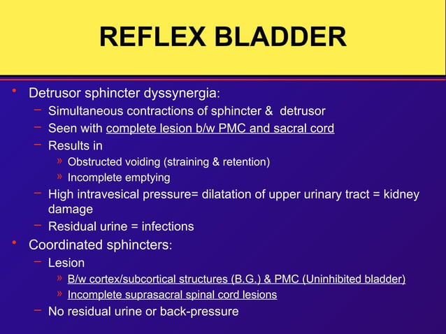 bladder anatomy and physiology and related disorders | PPTX | Brain and ...