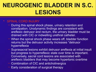 bladder anatomy and physiology and related disorders | PPTX