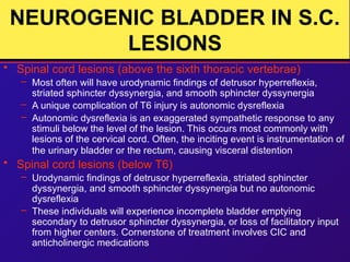 bladder anatomy and physiology and related disorders | PPTX