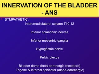 bladder anatomy and physiology and related disorders | PPTX
