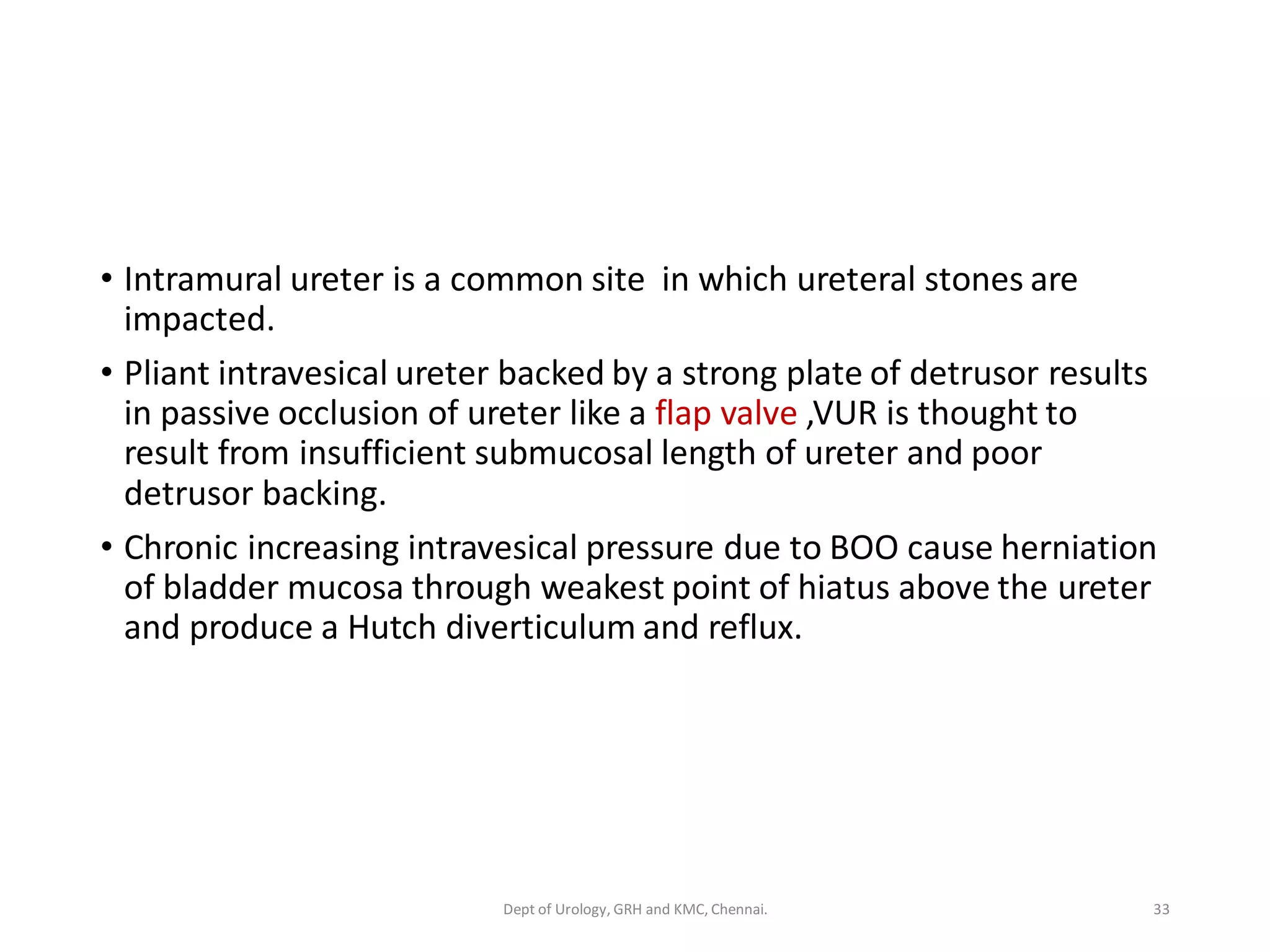 Urinary Bladder anatomy 1 | PDF