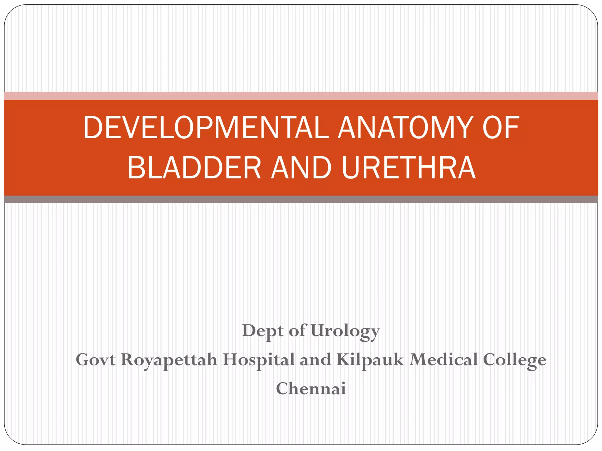 Bladder anatomy & embryology of bladder and urethra-converted | PDF