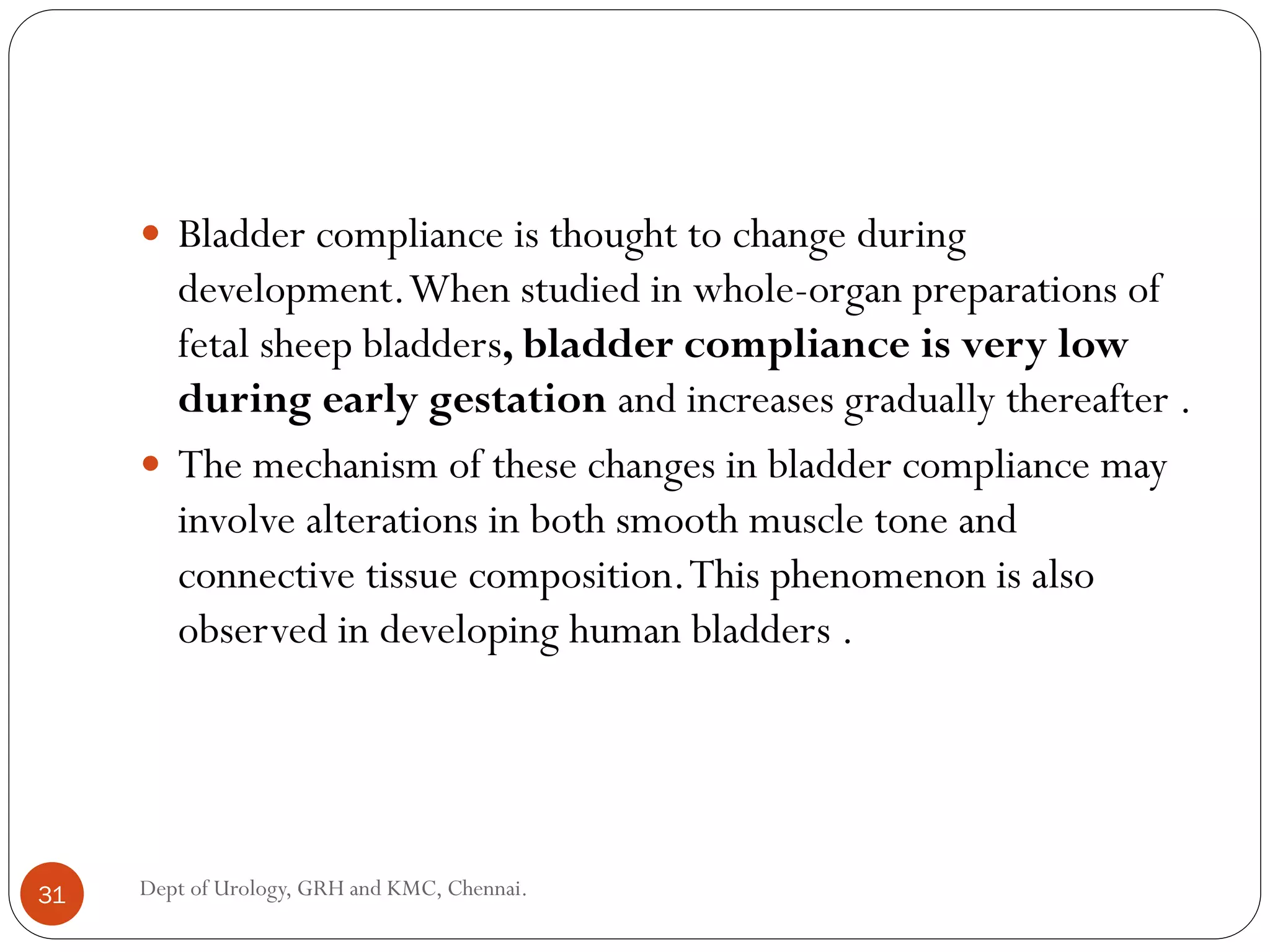 Bladder anatomy & embryology of bladder and urethra-converted | PDF