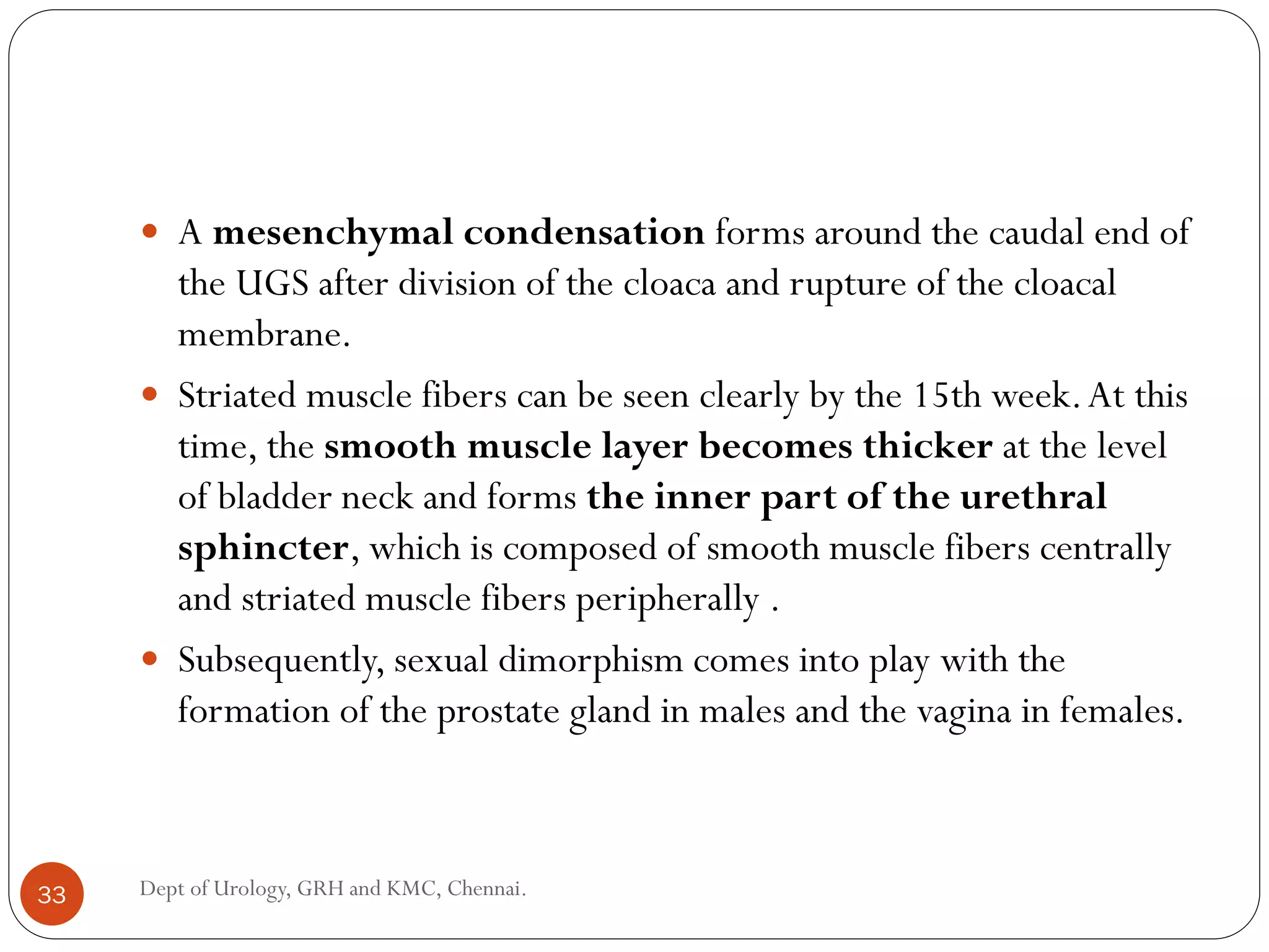 Bladder anatomy & embryology of bladder and urethra-converted | PDF
