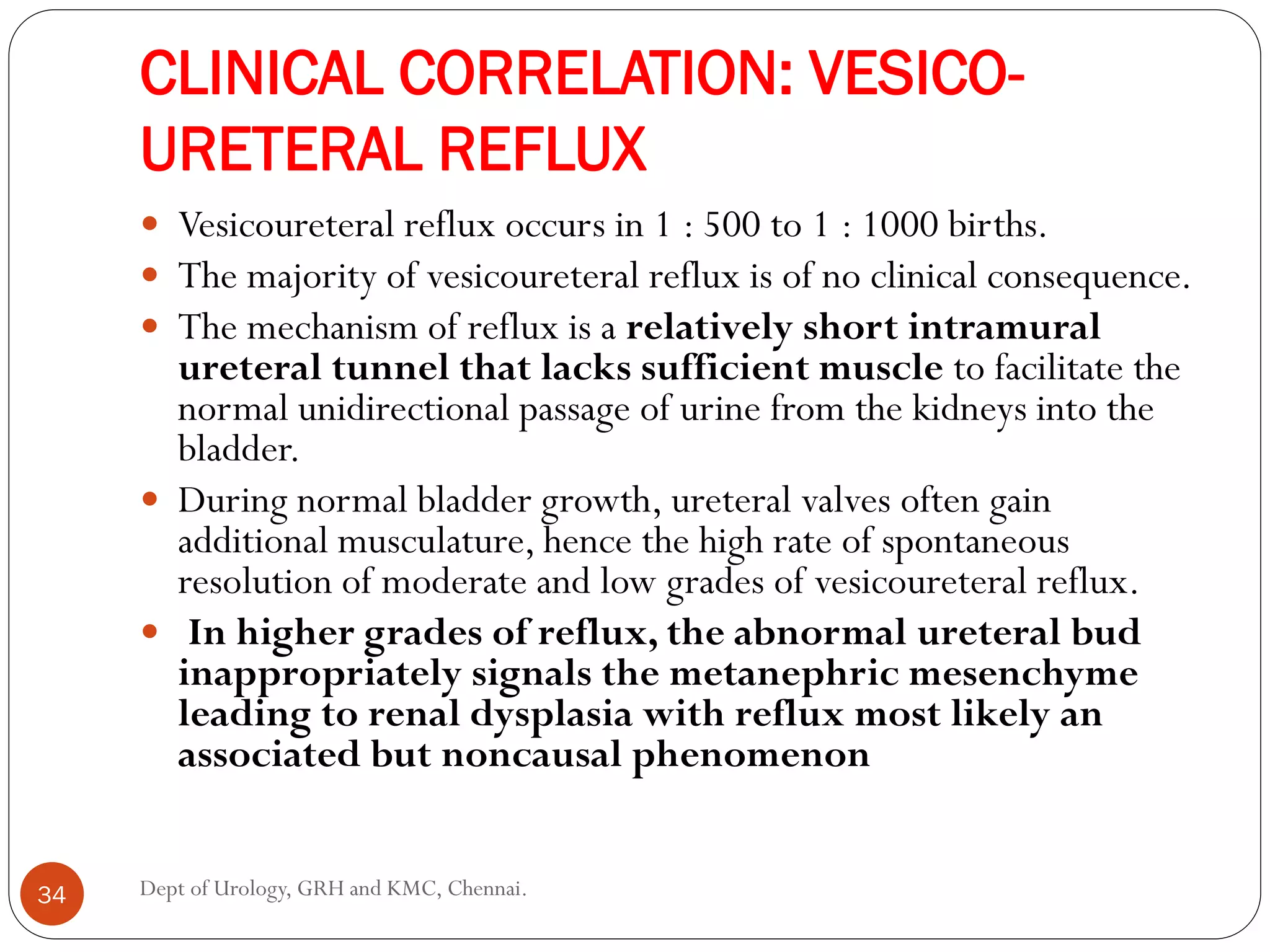 Bladder anatomy & embryology of bladder and urethra-converted | PDF