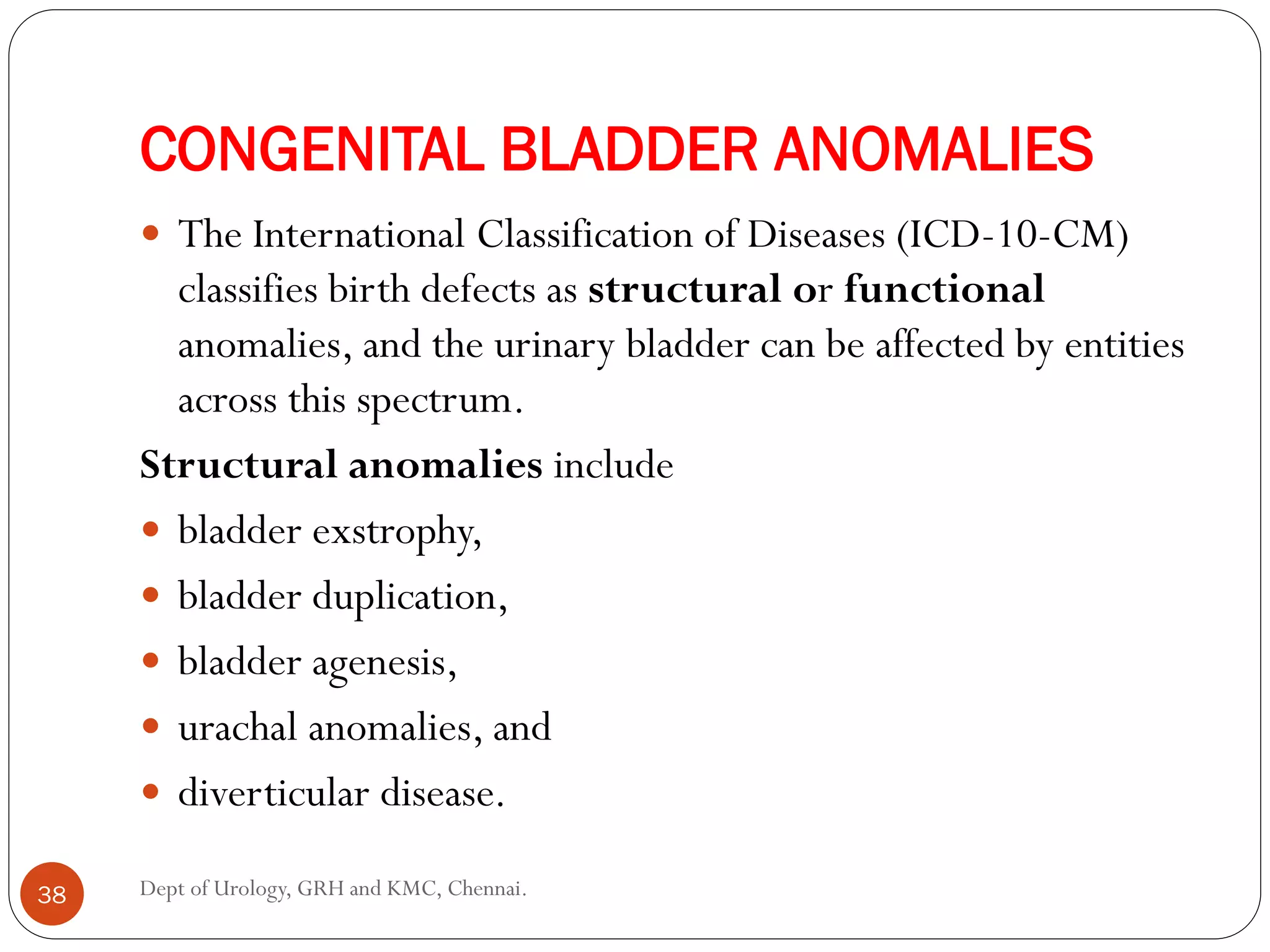 Bladder anatomy & embryology of bladder and urethra-converted | PDF