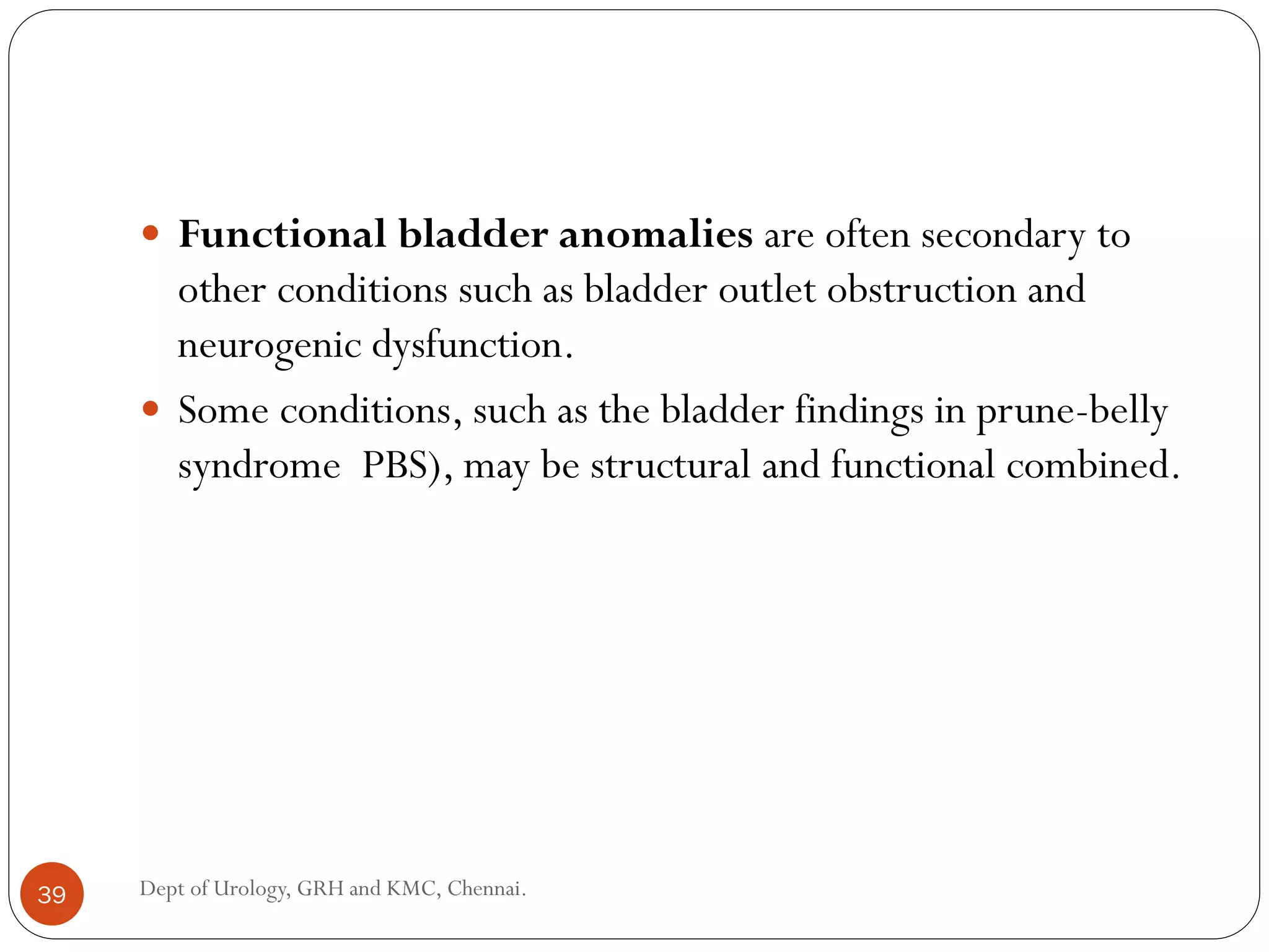 Bladder anatomy & embryology of bladder and urethra-converted | PDF