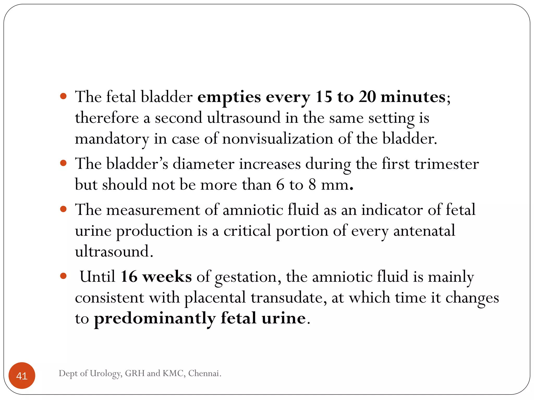 Bladder anatomy & embryology of bladder and urethra-converted | PDF