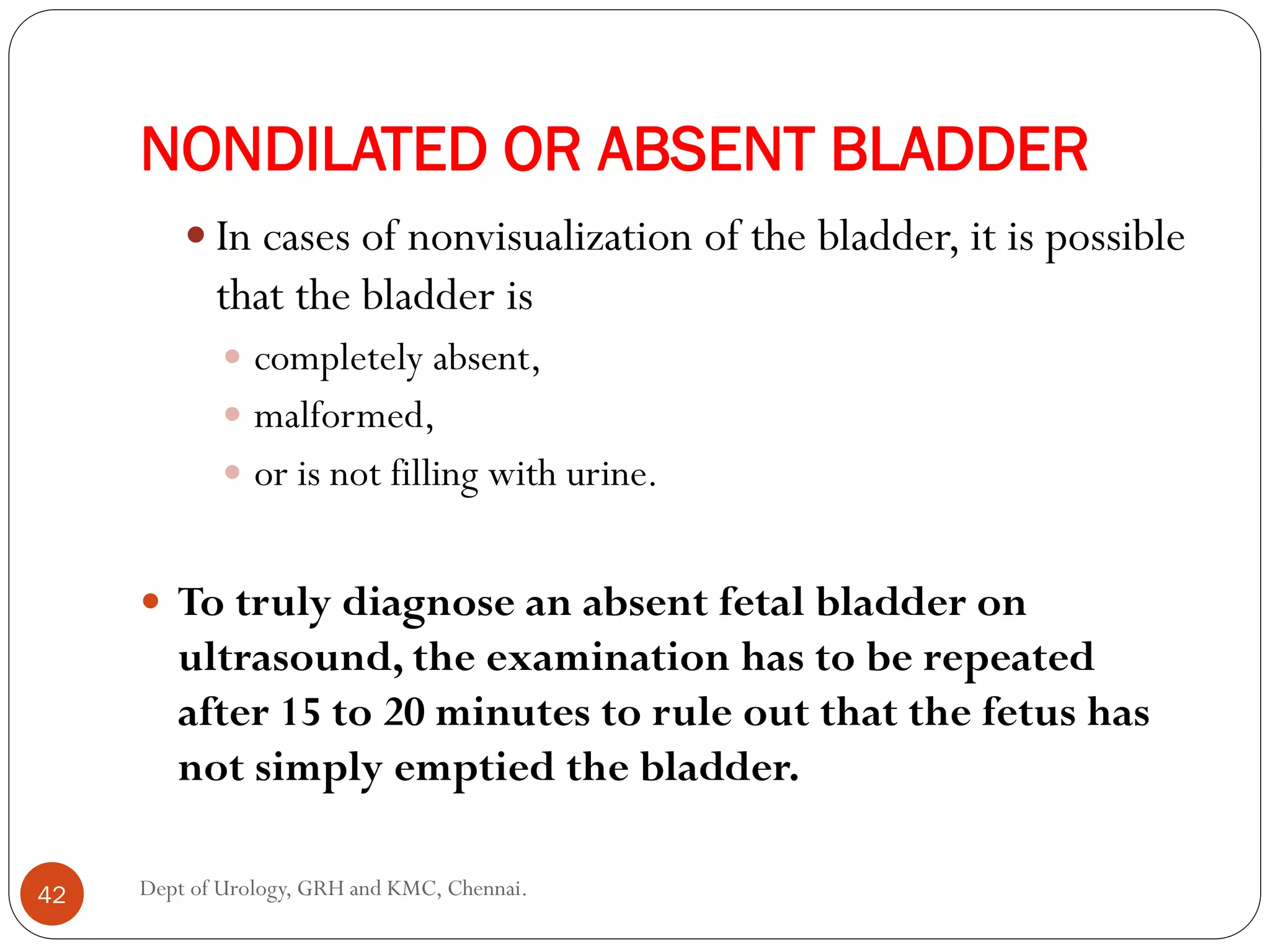 Bladder anatomy & embryology of bladder and urethra-converted | PDF