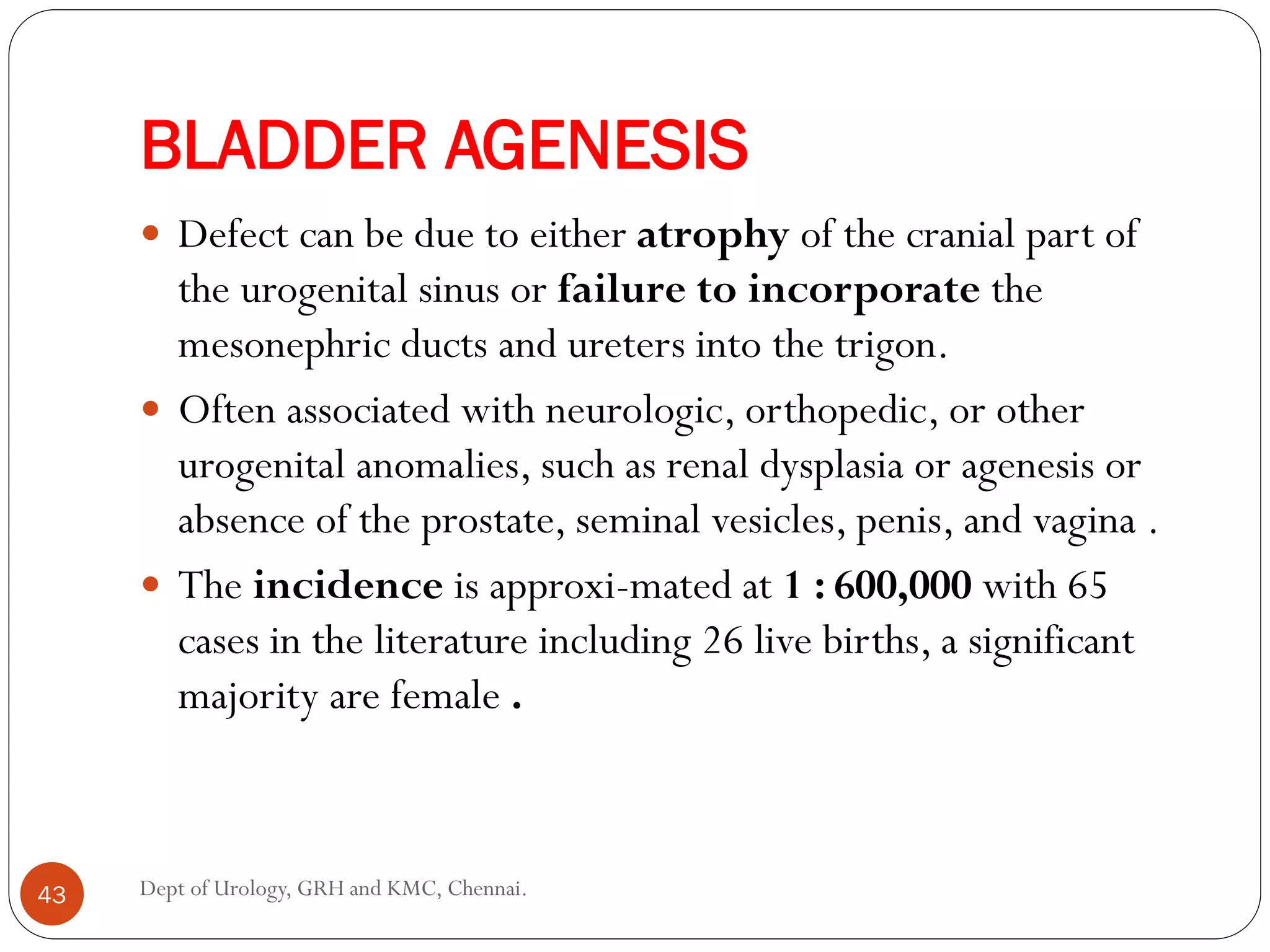 Bladder anatomy & embryology of bladder and urethra-converted | PDF