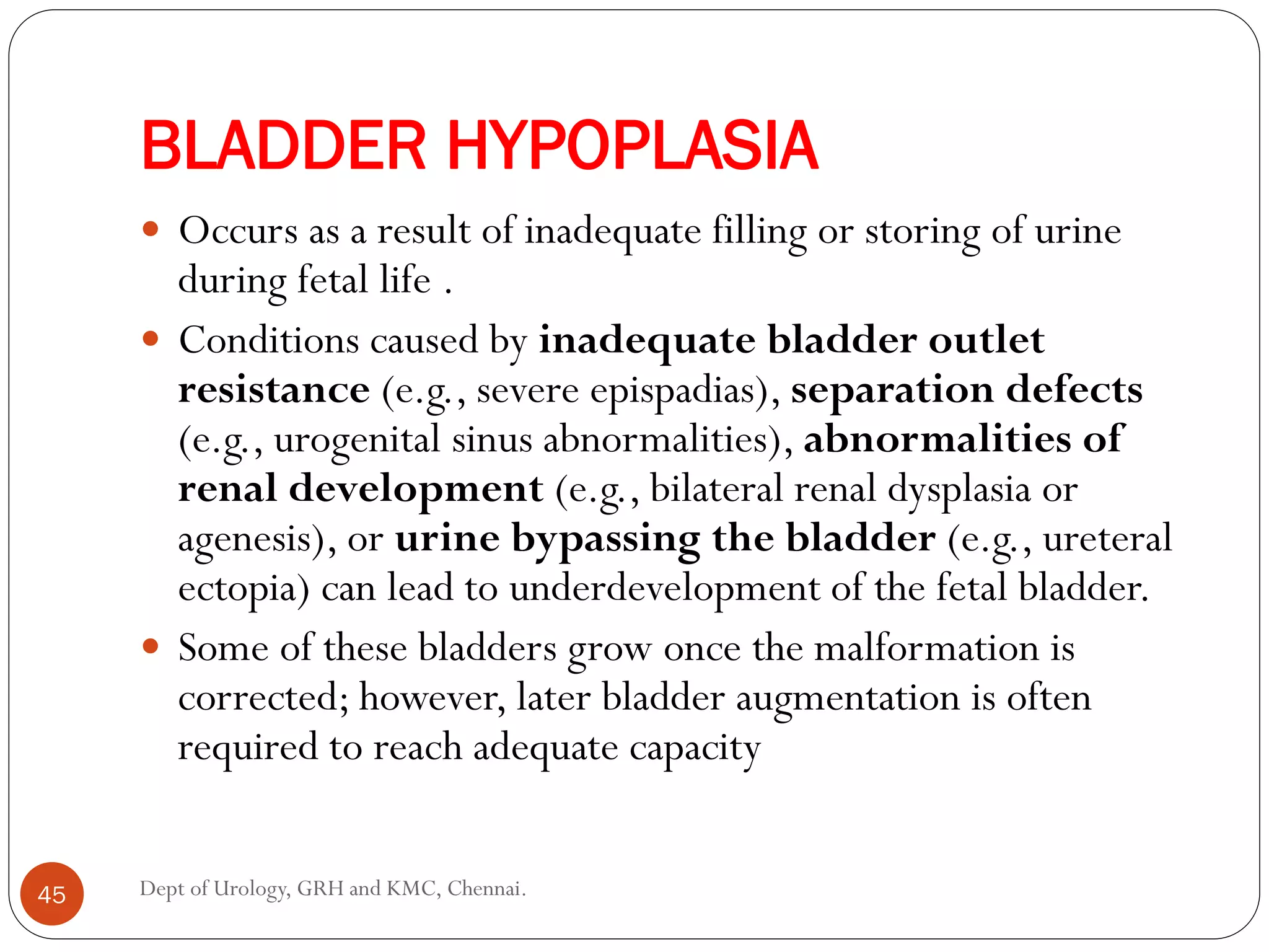 Bladder anatomy & embryology of bladder and urethra-converted | PDF