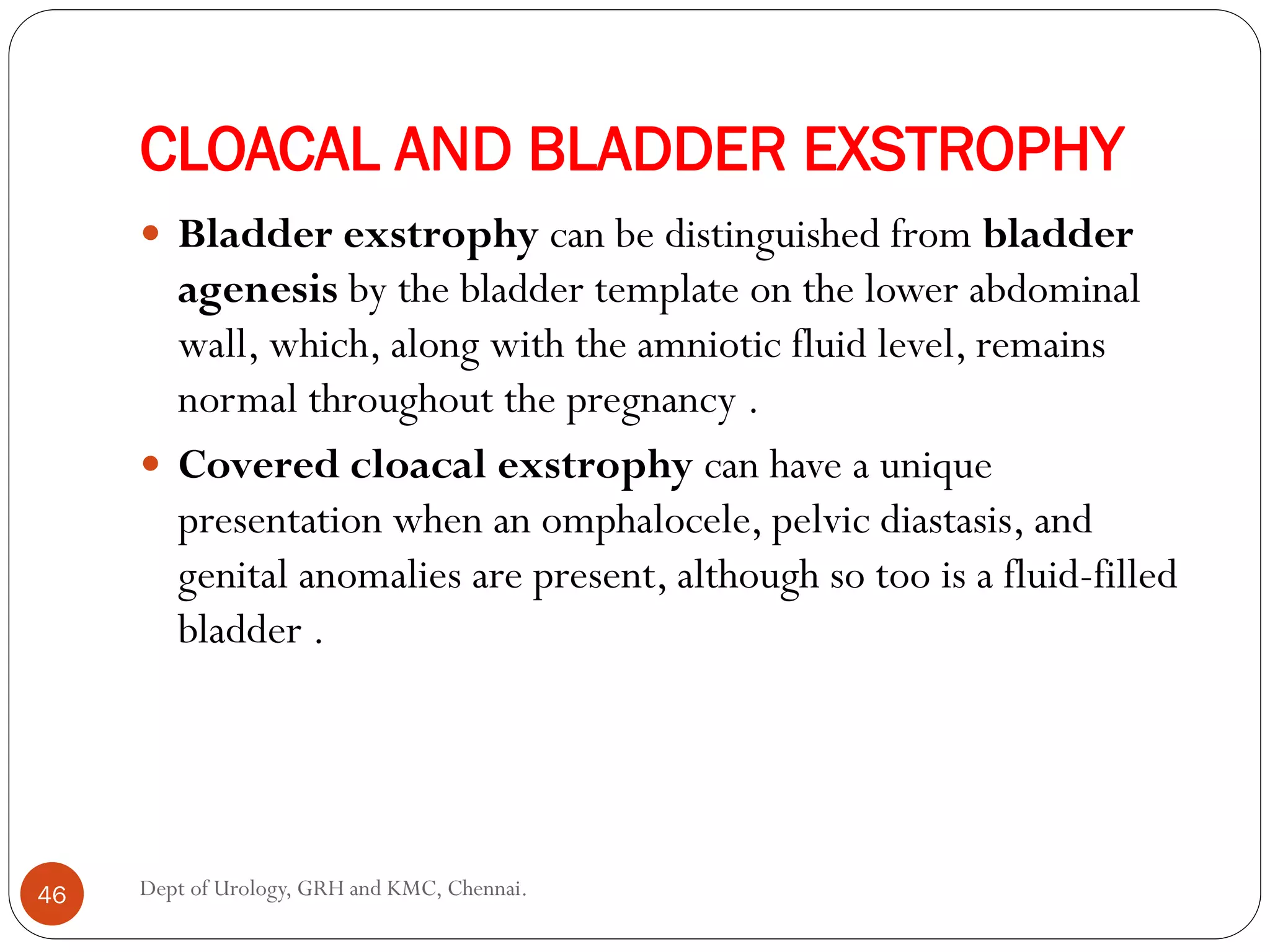 Bladder anatomy & embryology of bladder and urethra-converted | PDF