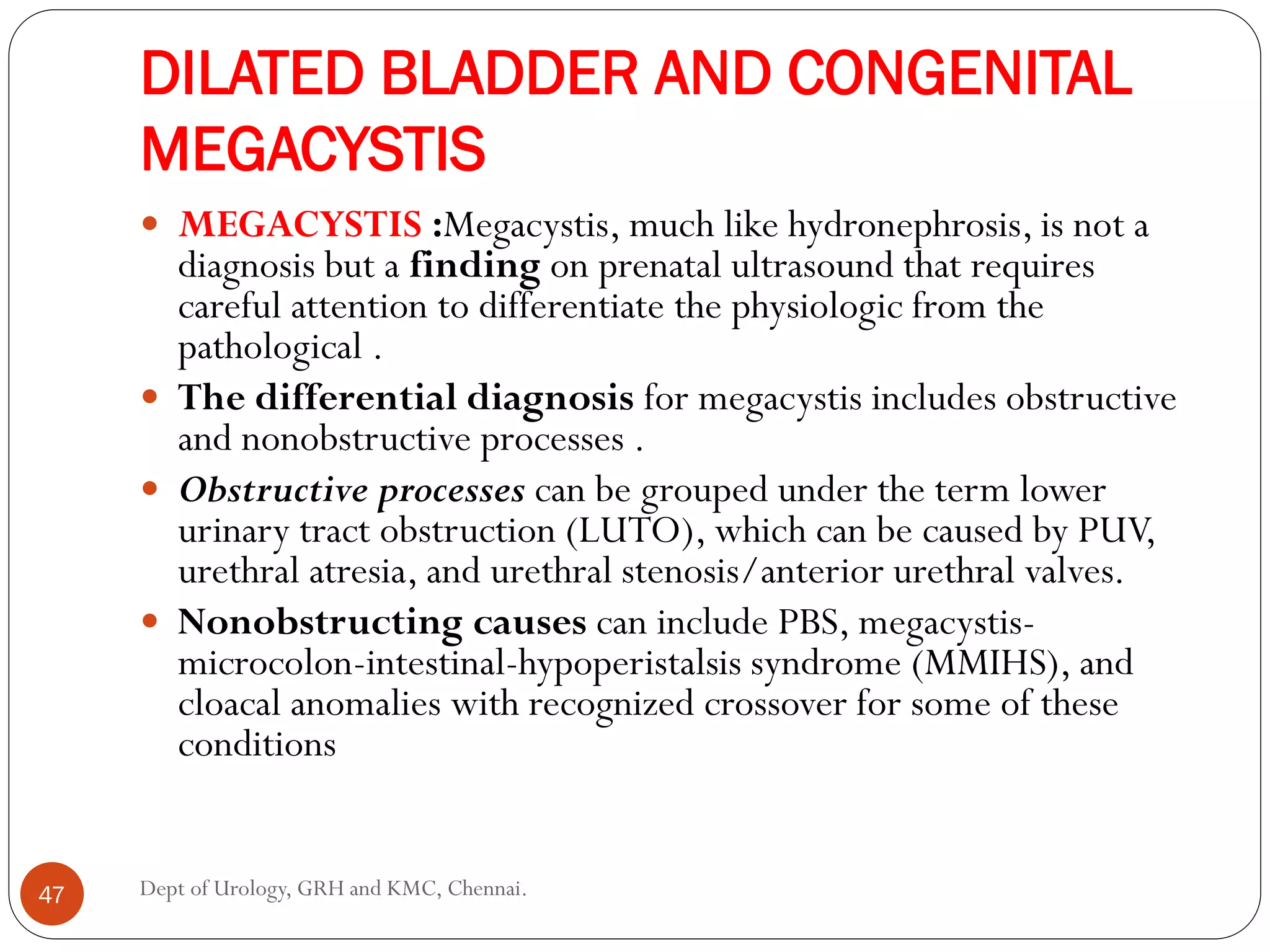Bladder anatomy & embryology of bladder and urethra-converted | PDF