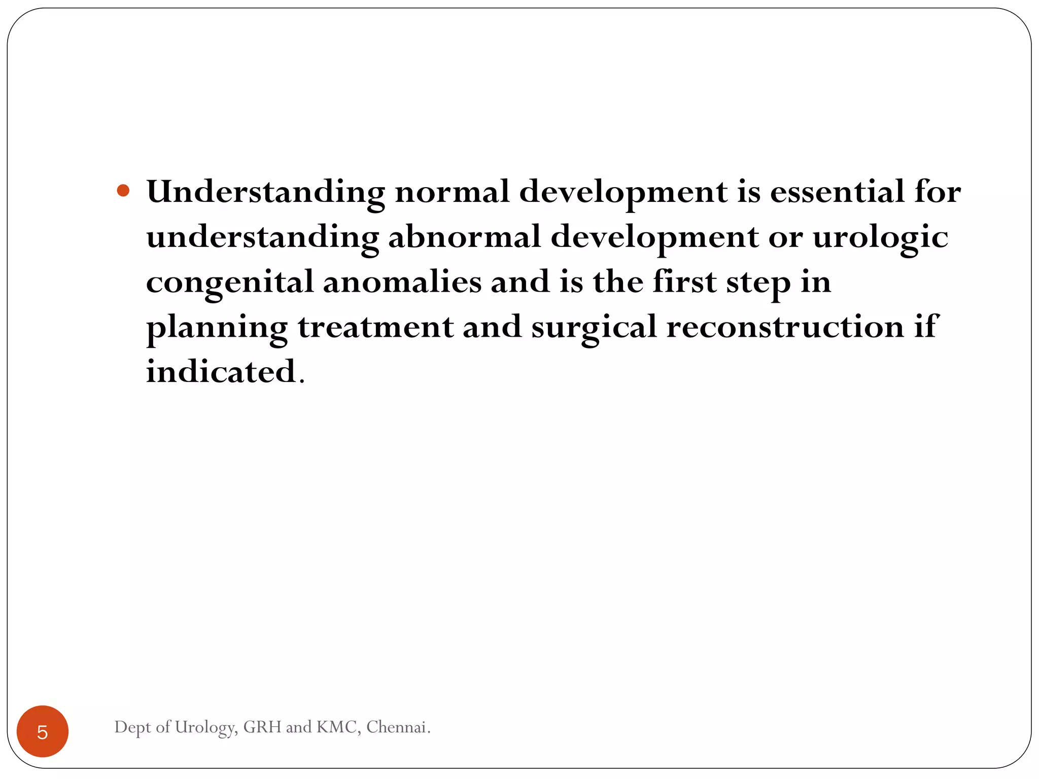 Bladder anatomy & embryology of bladder and urethra-converted | PDF