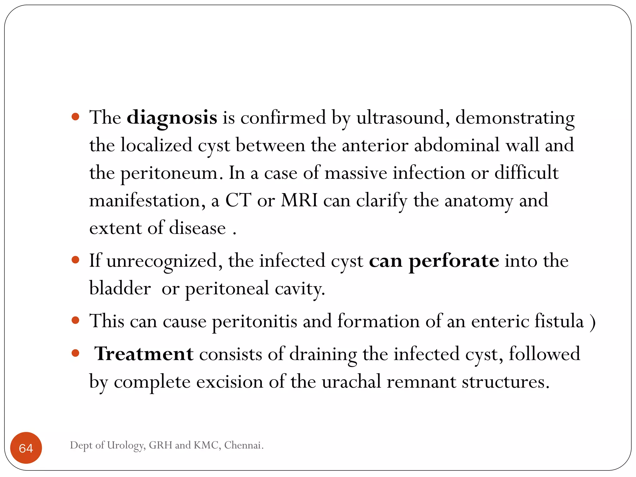 Bladder anatomy & embryology of bladder and urethra-converted | PDF