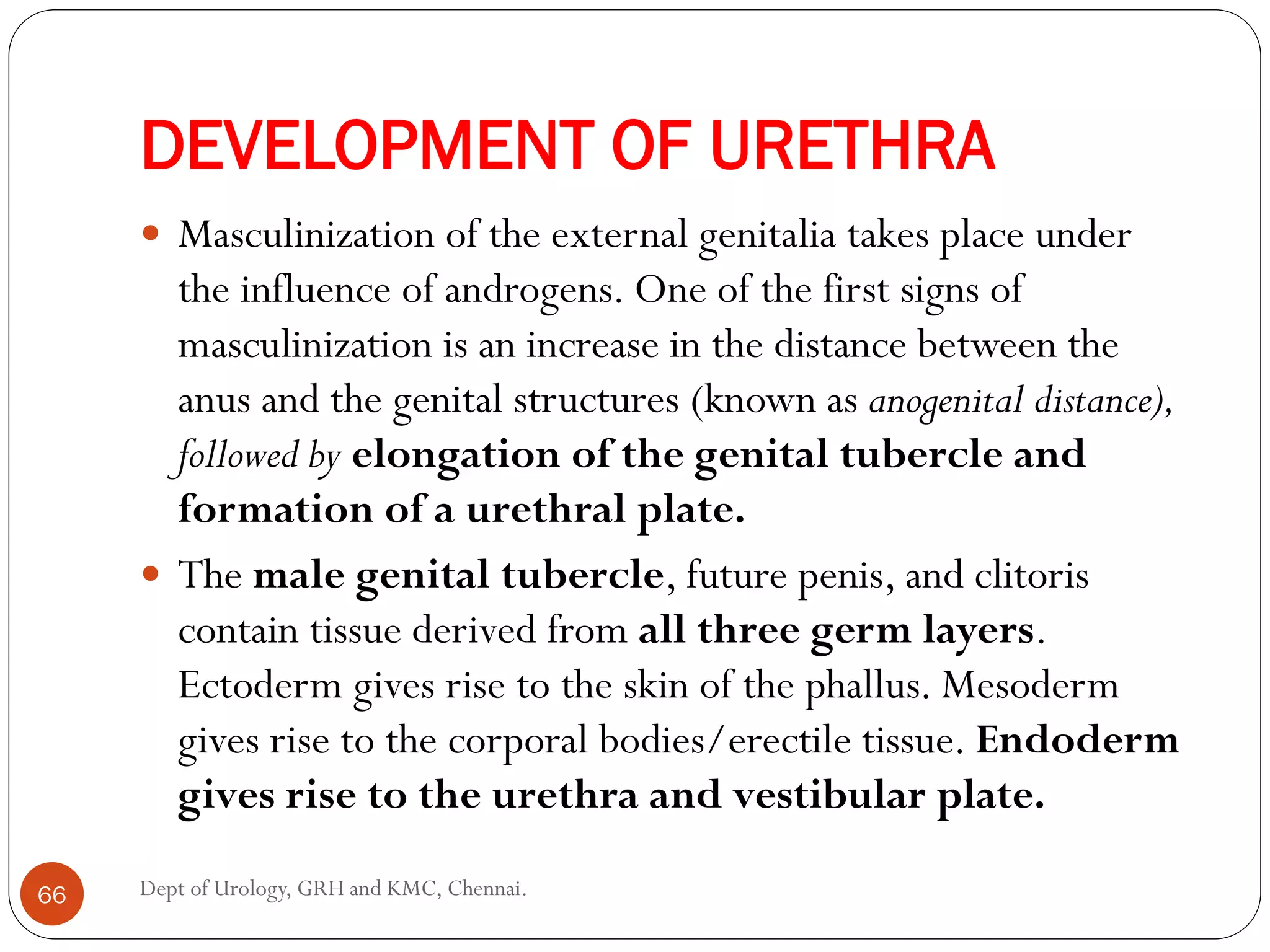 Bladder anatomy & embryology of bladder and urethra-converted | PDF