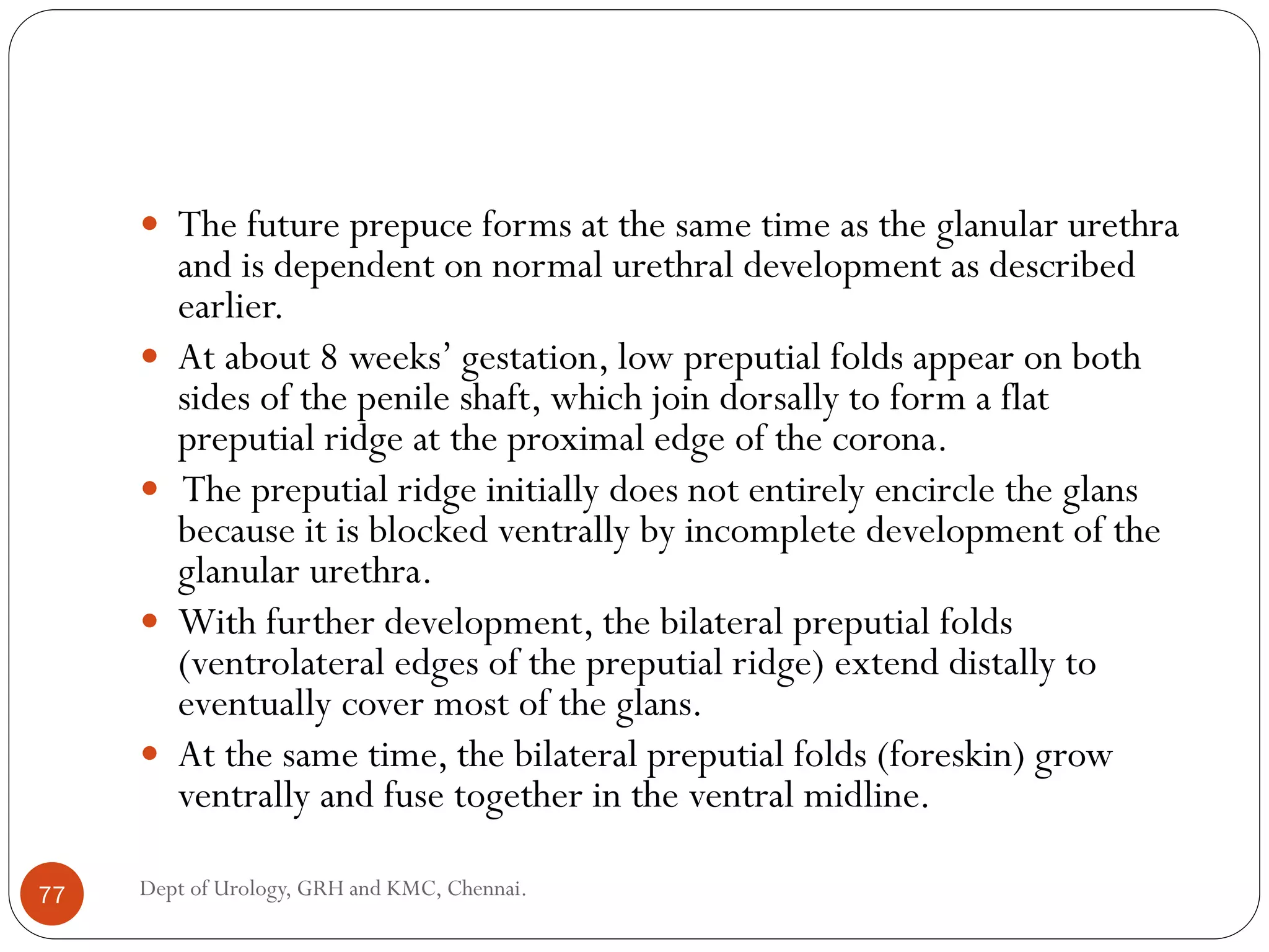 Bladder anatomy & embryology of bladder and urethra-converted | PDF