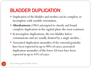 Bladder anatomy & embryology of bladder and urethra-converted | PDF