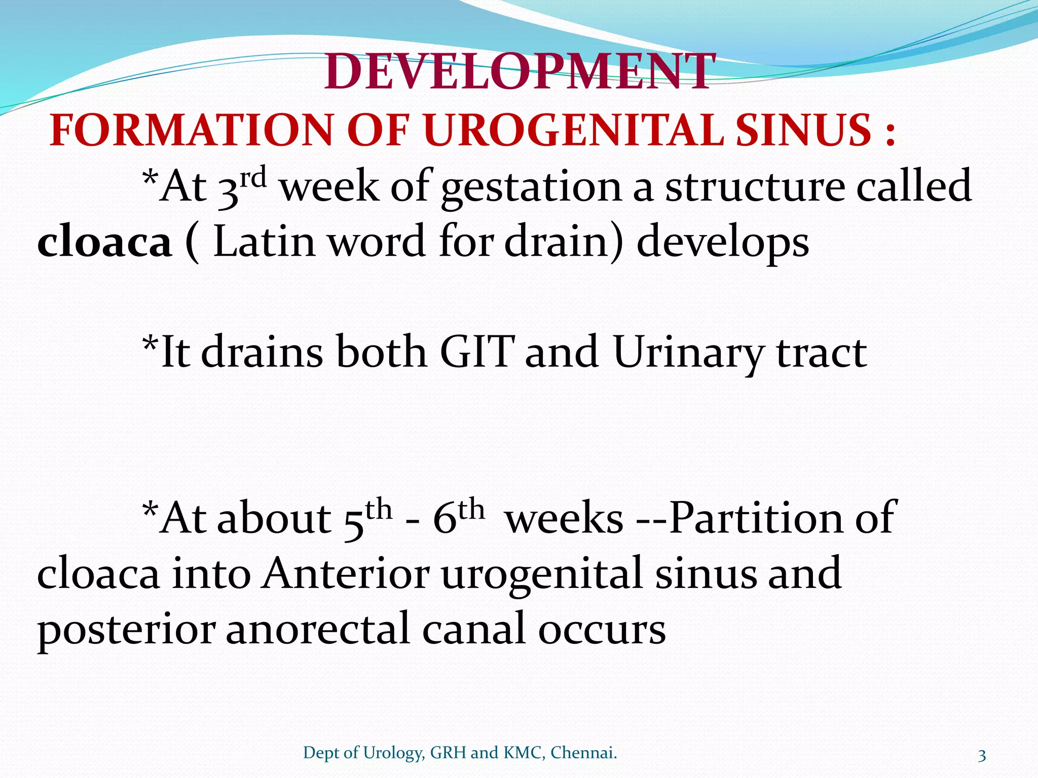 Urinary Bladder anomalies congenital | PDF