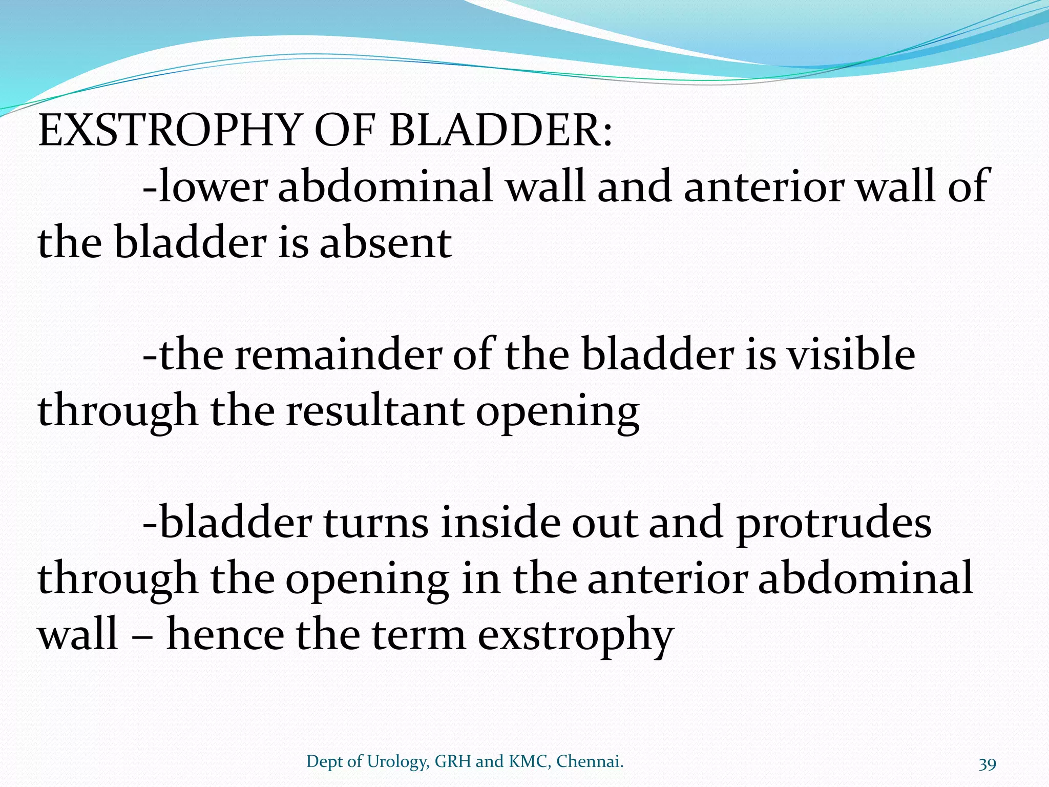 Urinary Bladder anomalies congenital | PDF