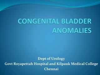Urinary Bladder anomalies congenital | PDF