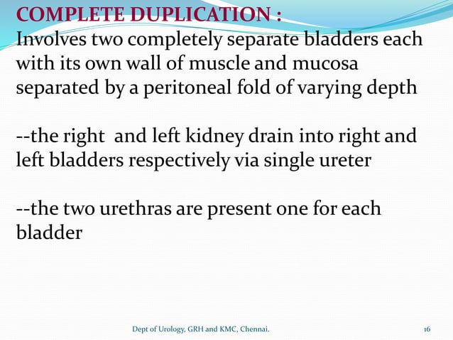 Urinary Bladder anomalies congenital | PDF | Medical Health