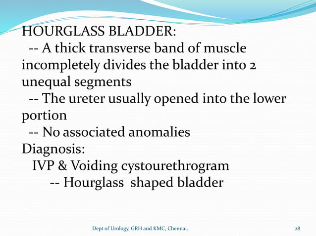 Urinary Bladder anomalies congenital | PDF | Medical Health