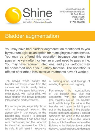 Bladder augmentation | PDF | Digestive Disorders | Diseases and Conditions