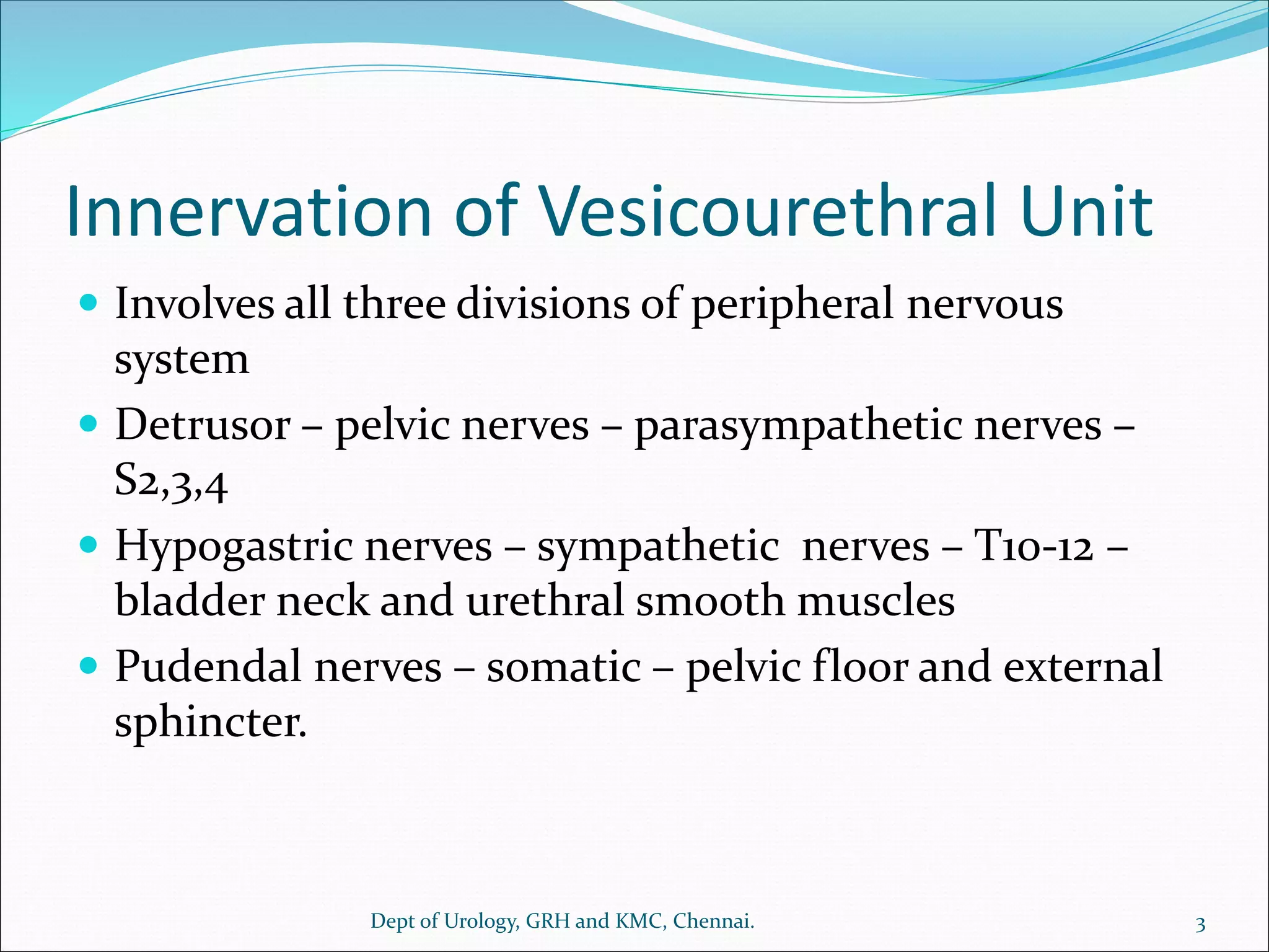 Autonomic hyperreflexia | PDF