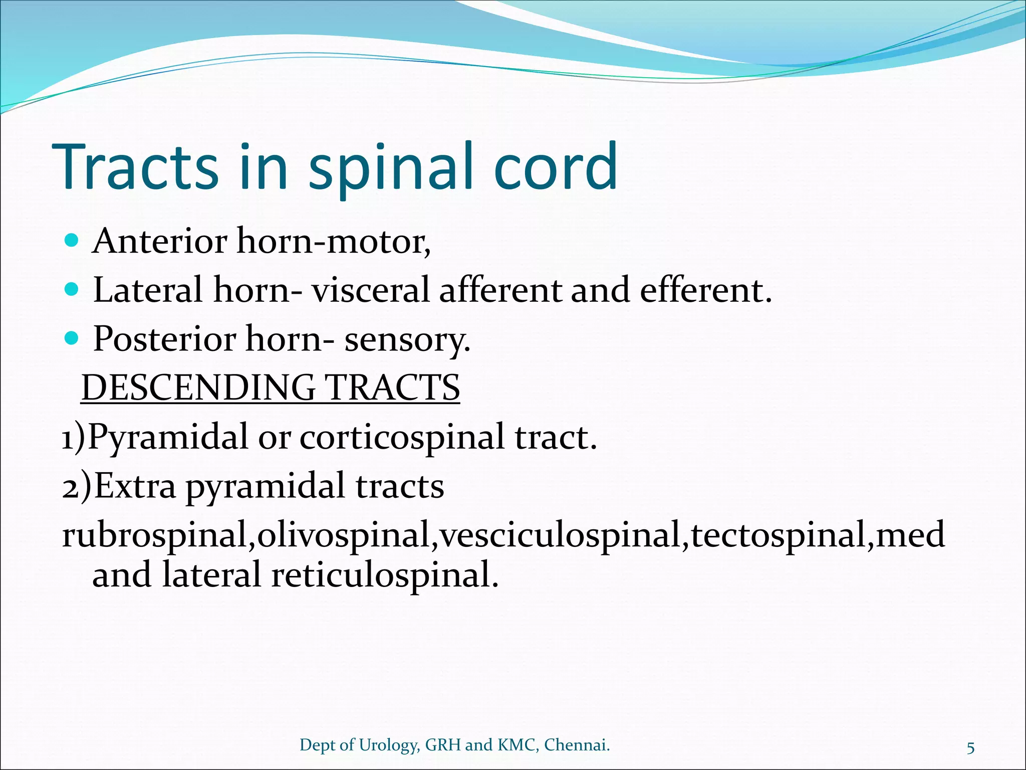 Autonomic hyperreflexia | PDF
