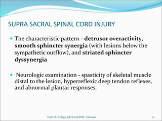 Autonomic hyperreflexia | PPT