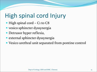 Autonomic hyperreflexia | PPT