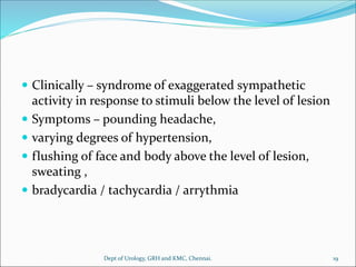 Autonomic hyperreflexia | PDF