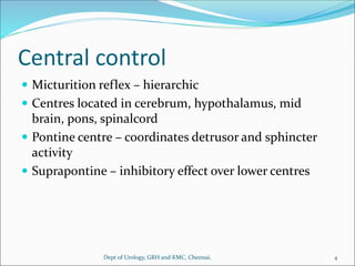 Autonomic hyperreflexia | PPT