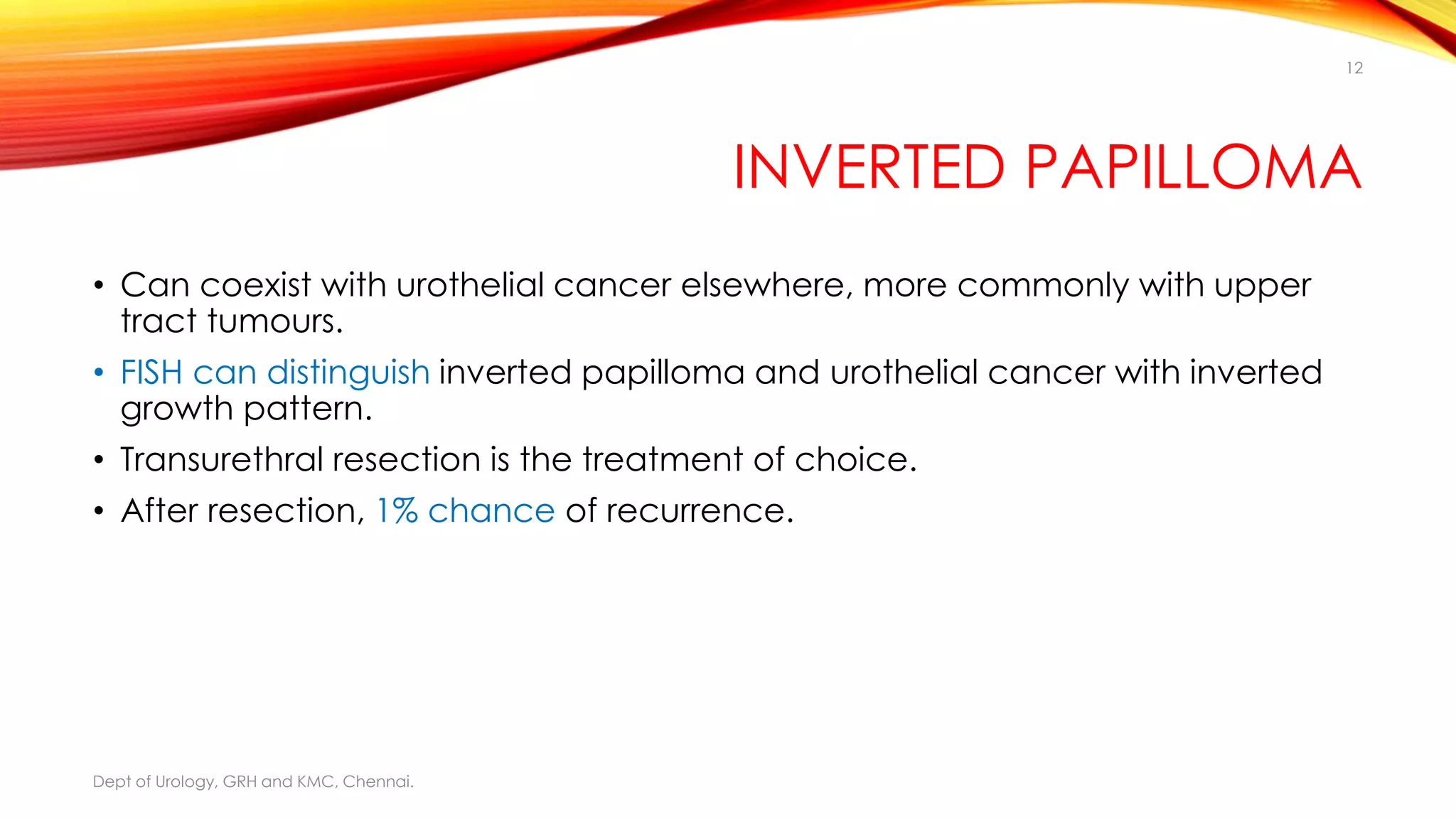 Benign Urinary Bladder Tumors | PDF