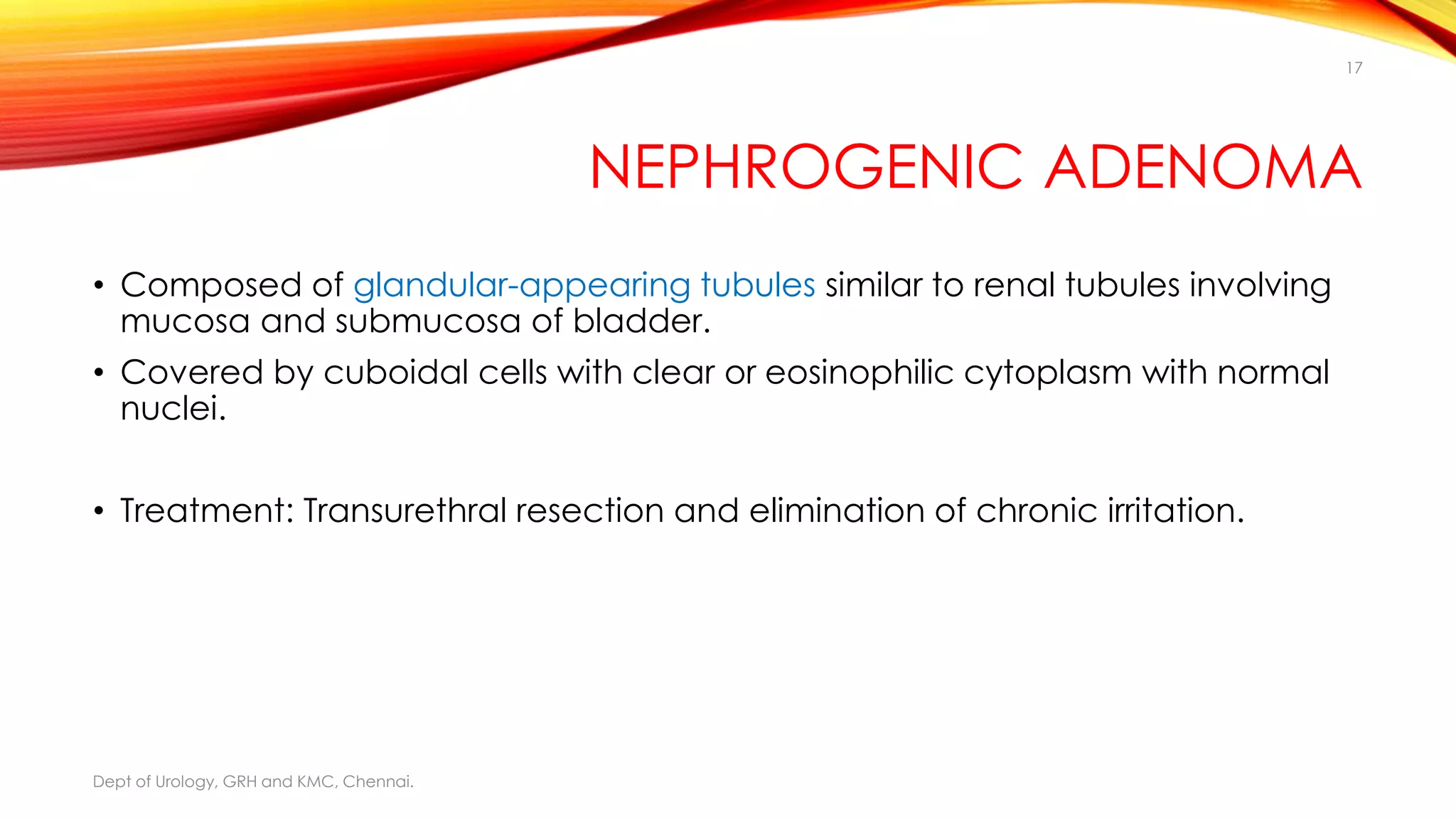 Benign Urinary Bladder Tumors | PDF