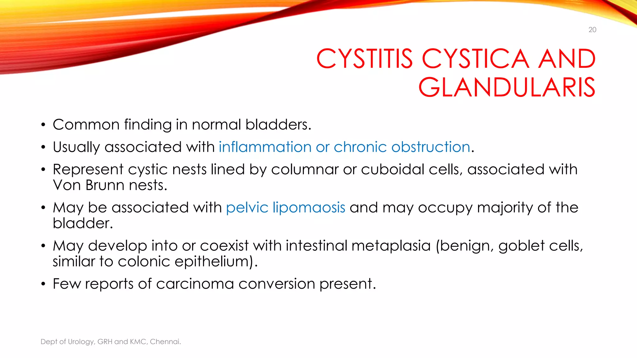 Benign Urinary Bladder Tumors | PDF