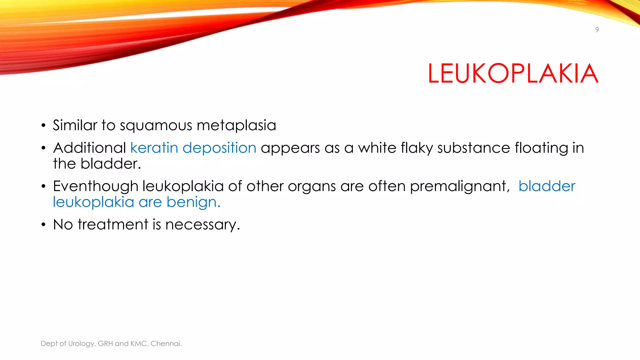 Benign Urinary Bladder Tumors | PDF