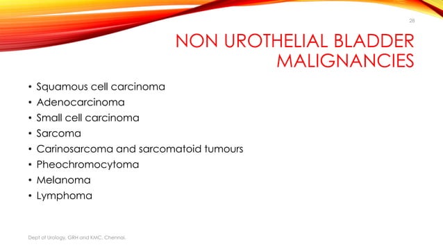 Benign Urinary Bladder Tumors | PDF