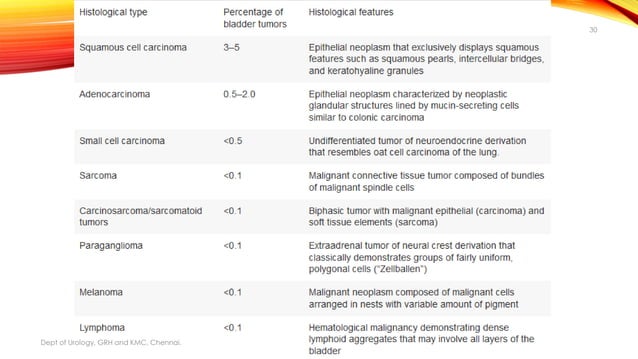 Benign Urinary Bladder Tumors | PDF