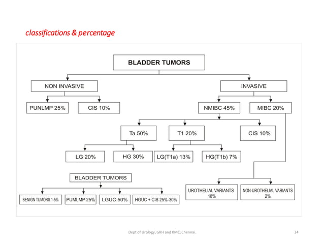 Etiopathogenesis Urinary bladder malignancy | PPT