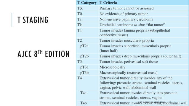 MIBC & Metastatic Urinary Bladder carcinoma | PDF