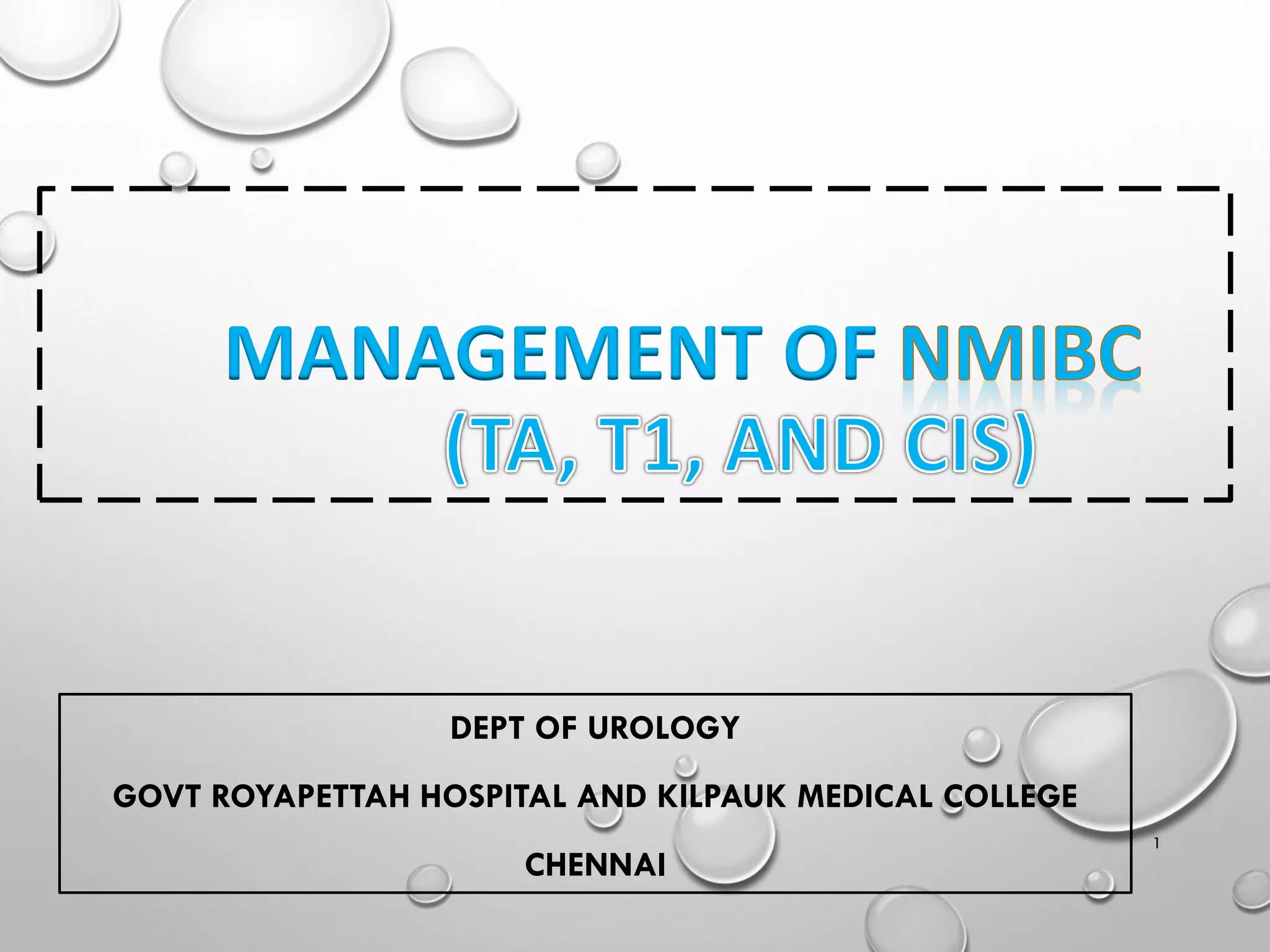 Non muscle invasive bladder carcinoma - management | PDF