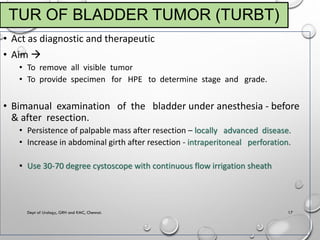 Non muscle invasive bladder carcinoma - management | PDF