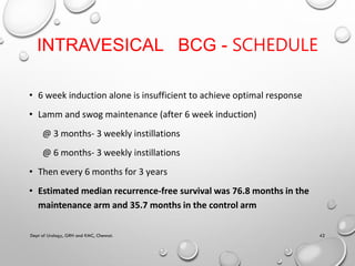 Non muscle invasive bladder carcinoma - management | PDF