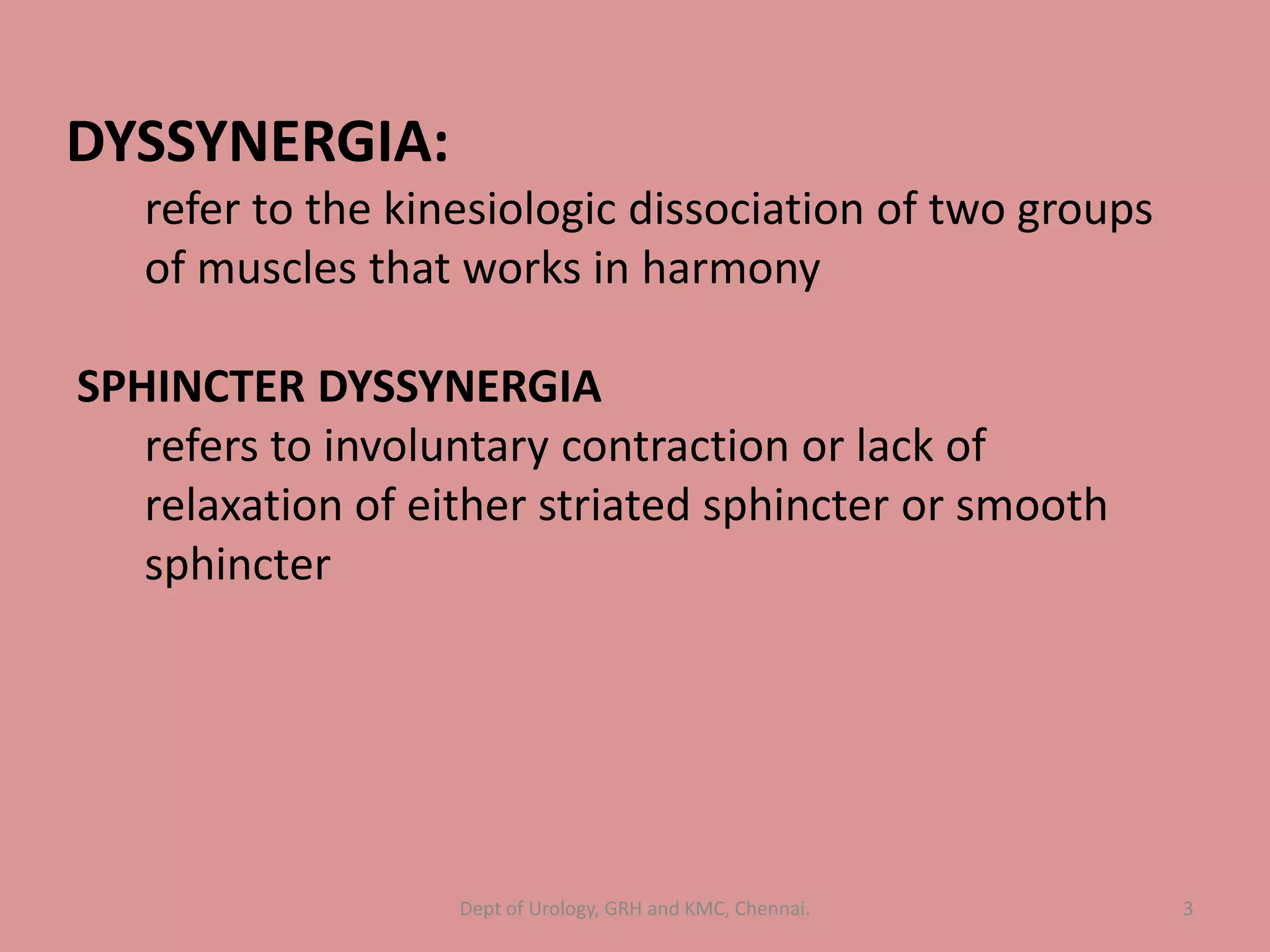Bladder Detrusor Spincter Synergia | PDF